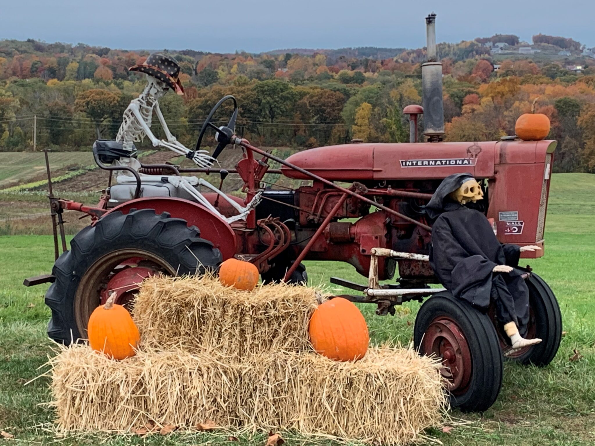 Gallery - Chris' Farm Stand